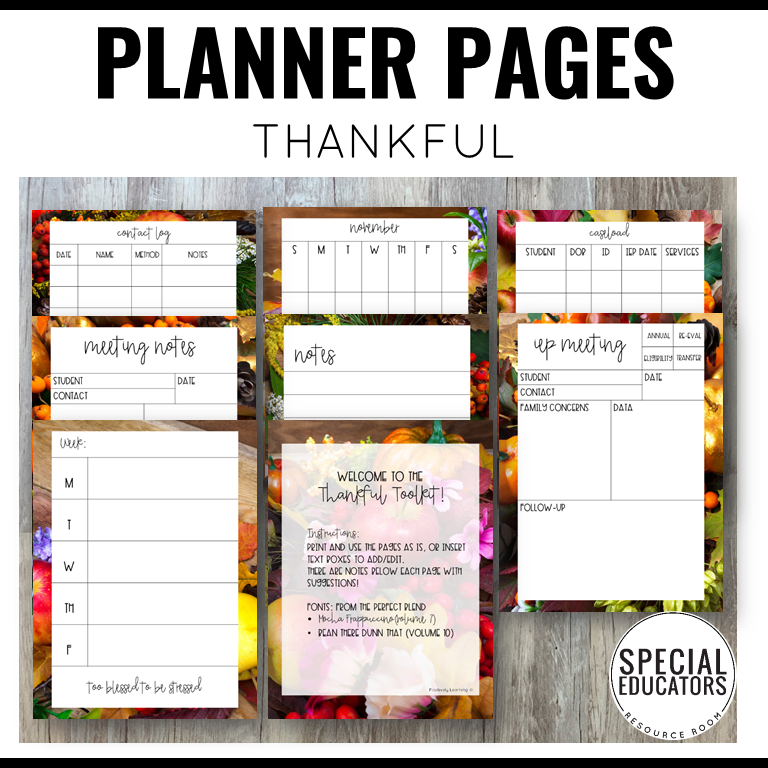 Special Educator Planner Pages - Positively Learning