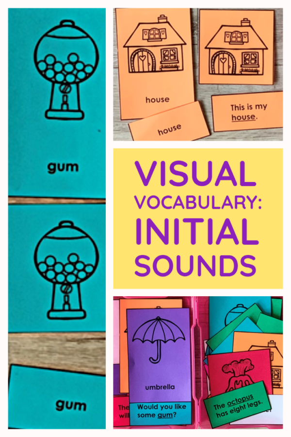 Alphabet Visual Vocabulary Cards - Positively Learning