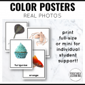 Colors Classroom Posters - Positively Learning