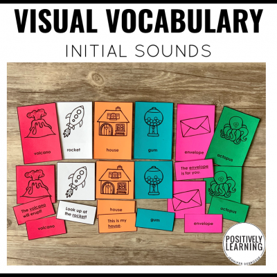 Alphabet Visual Vocabulary Cards - Positively Learning
