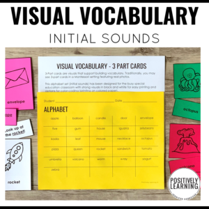 Alphabet Visual Vocabulary Cards - Positively Learning