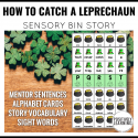 How to Catch a Leprechaun Sensory Bin - Positively Learning