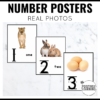 Number Posters for the Classroom - Positively Learning