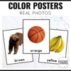Colors Classroom Posters - Positively Learning