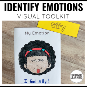 Emotions and Feelings Kit - Positively Learning