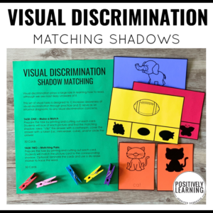 Visual Discrimination Activities - Positively Learning