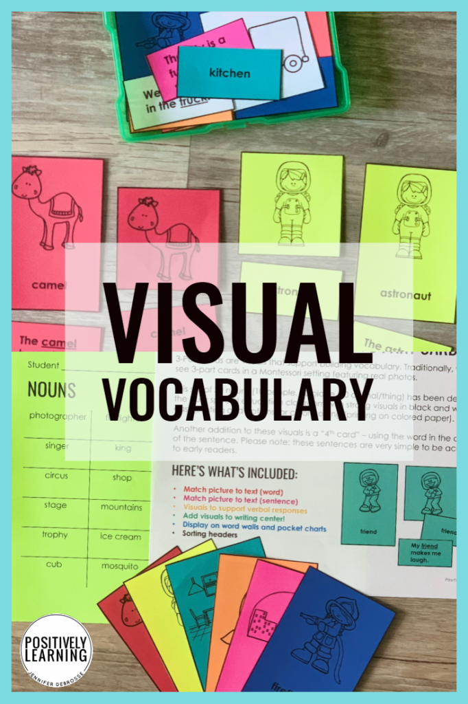 Noun Vocabulary Cards - Positively Learning
