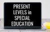 Present Levels in Special Education - Positively Learning