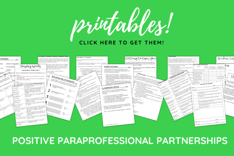 Positive Paraprofessional Partnerships - Positively Learning