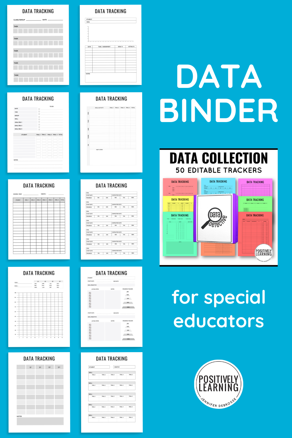 Special Education Data Collection Sheets - Positively Learning