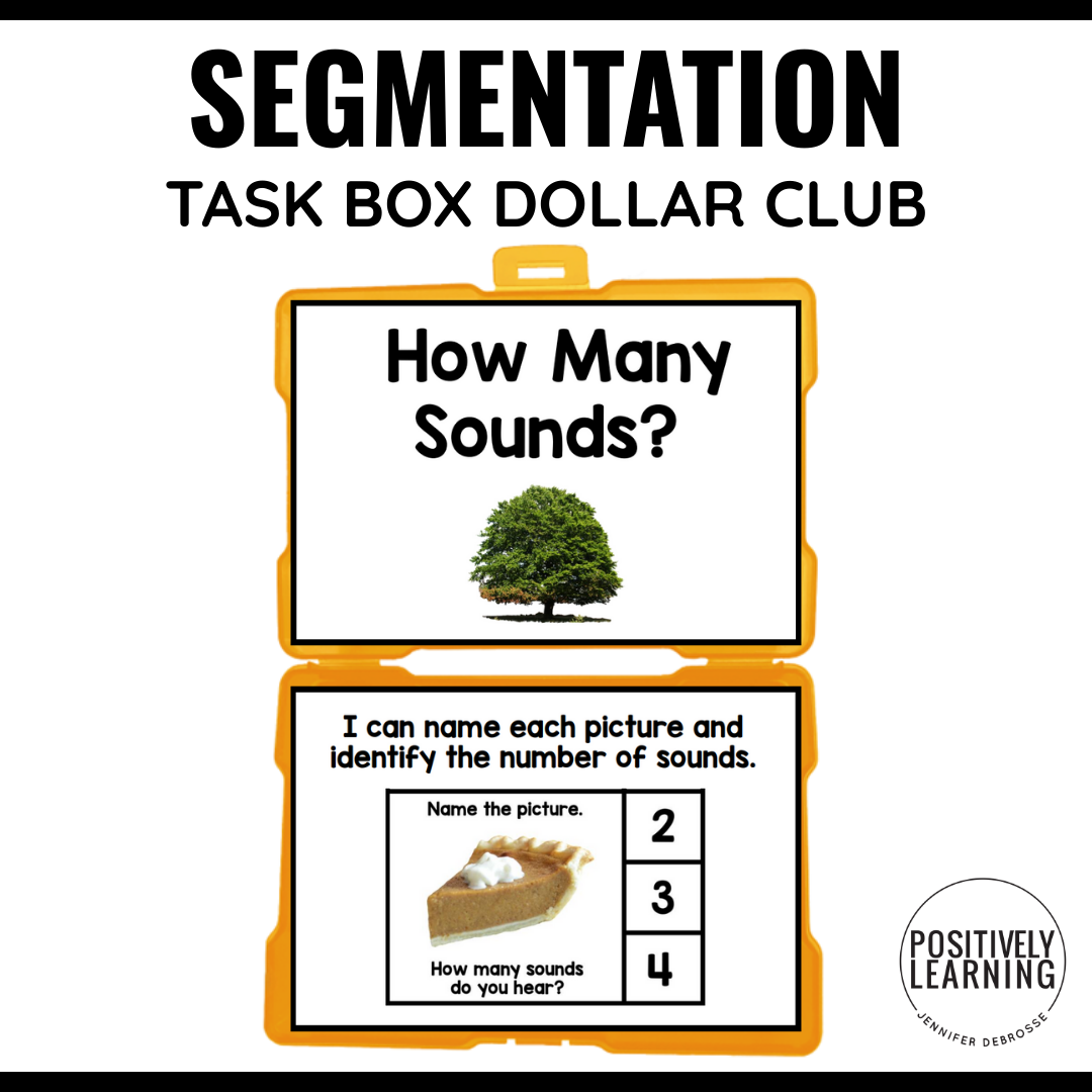 TBDC Segmentation - Positively Learning