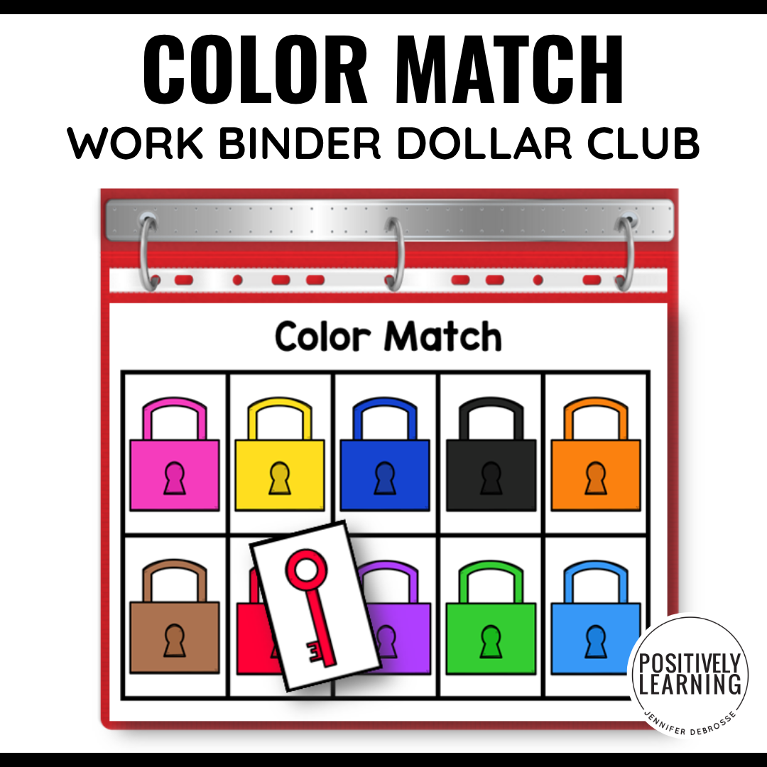 WBDC Color Matching Lock and Key - Positively Learning