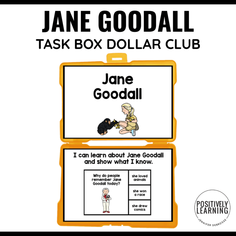 Independent Work Club Science Task Boxes