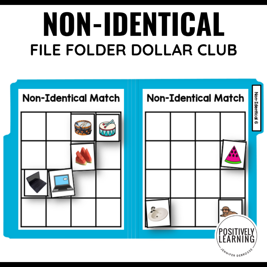Non-Identical Matching File Folder