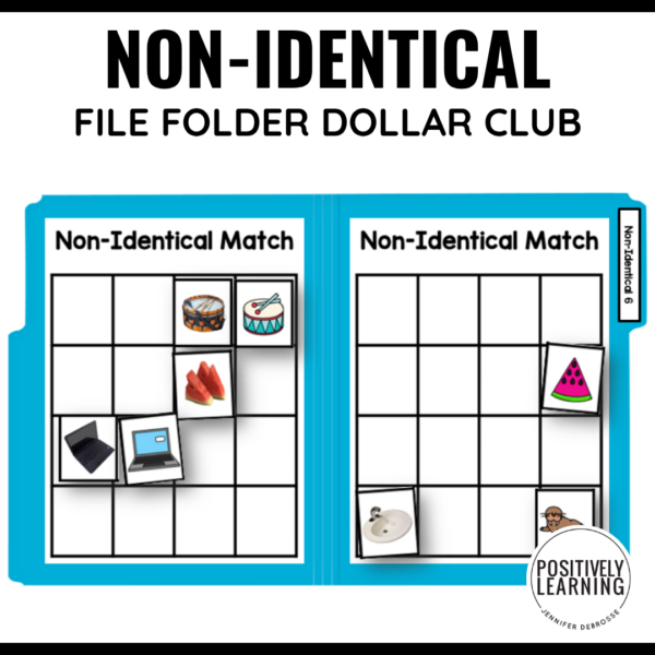 Non-Identical Matching File Folder